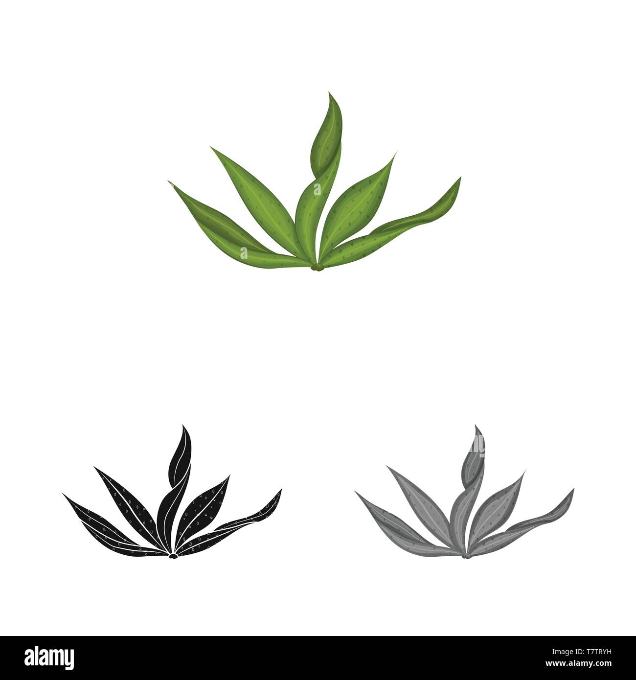 Vector illustration of algae and healthy logo. Set of algae and ...