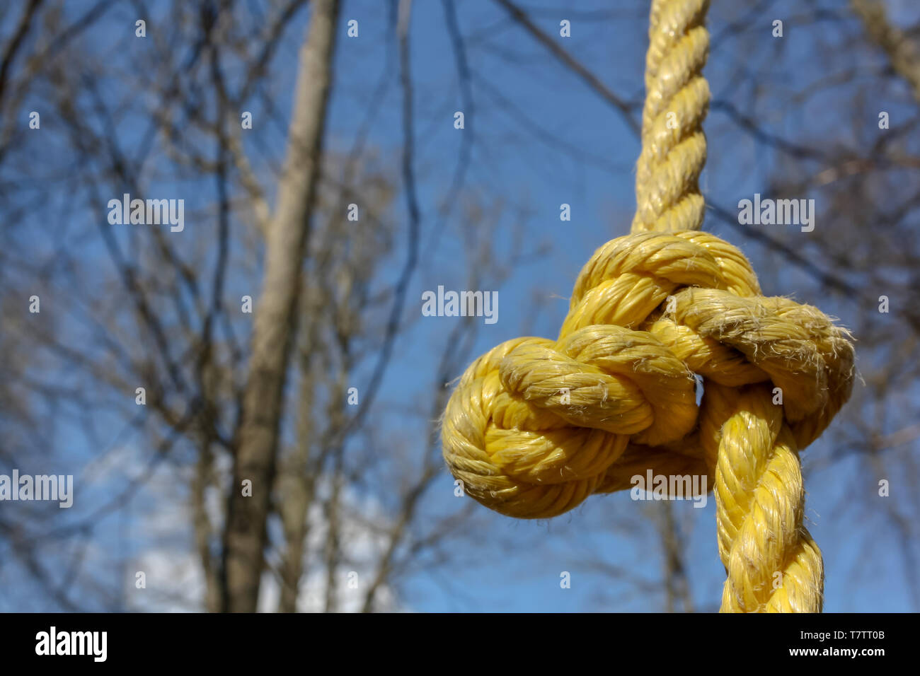 Climbing node hi-res stock photography and images - Alamy