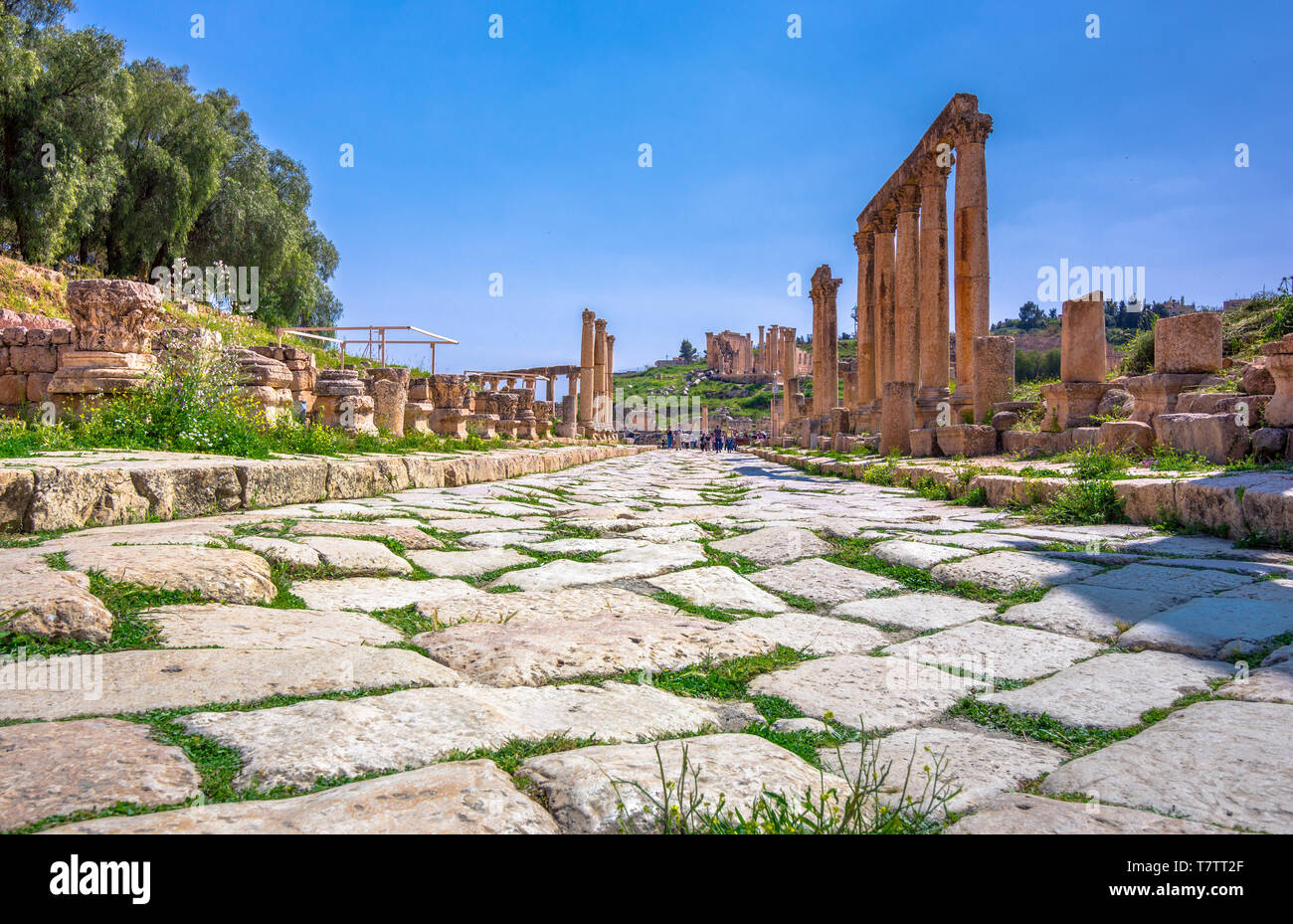 Ancient and roman ruins of Jerash (Gerasa), Jordan Stock Photo - Alamy