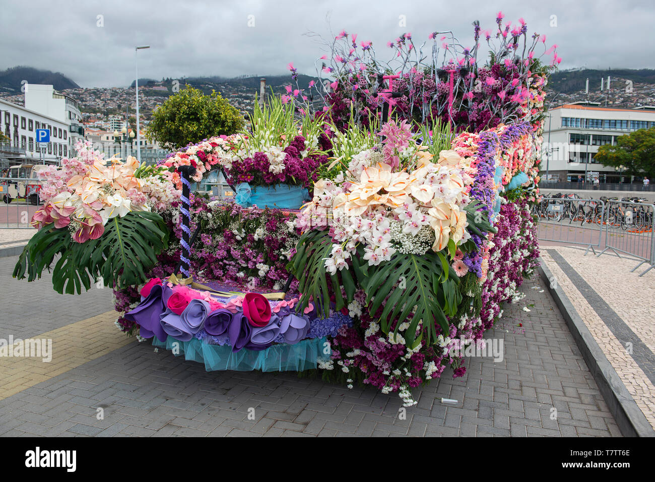 Madeira Costume High Resolution Stock Photography and Images - Alamy