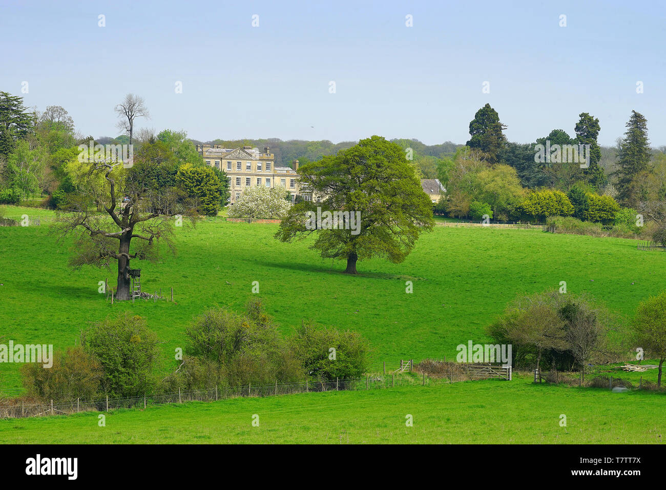 Stagenhoe park hi-res stock photography and images - Alamy