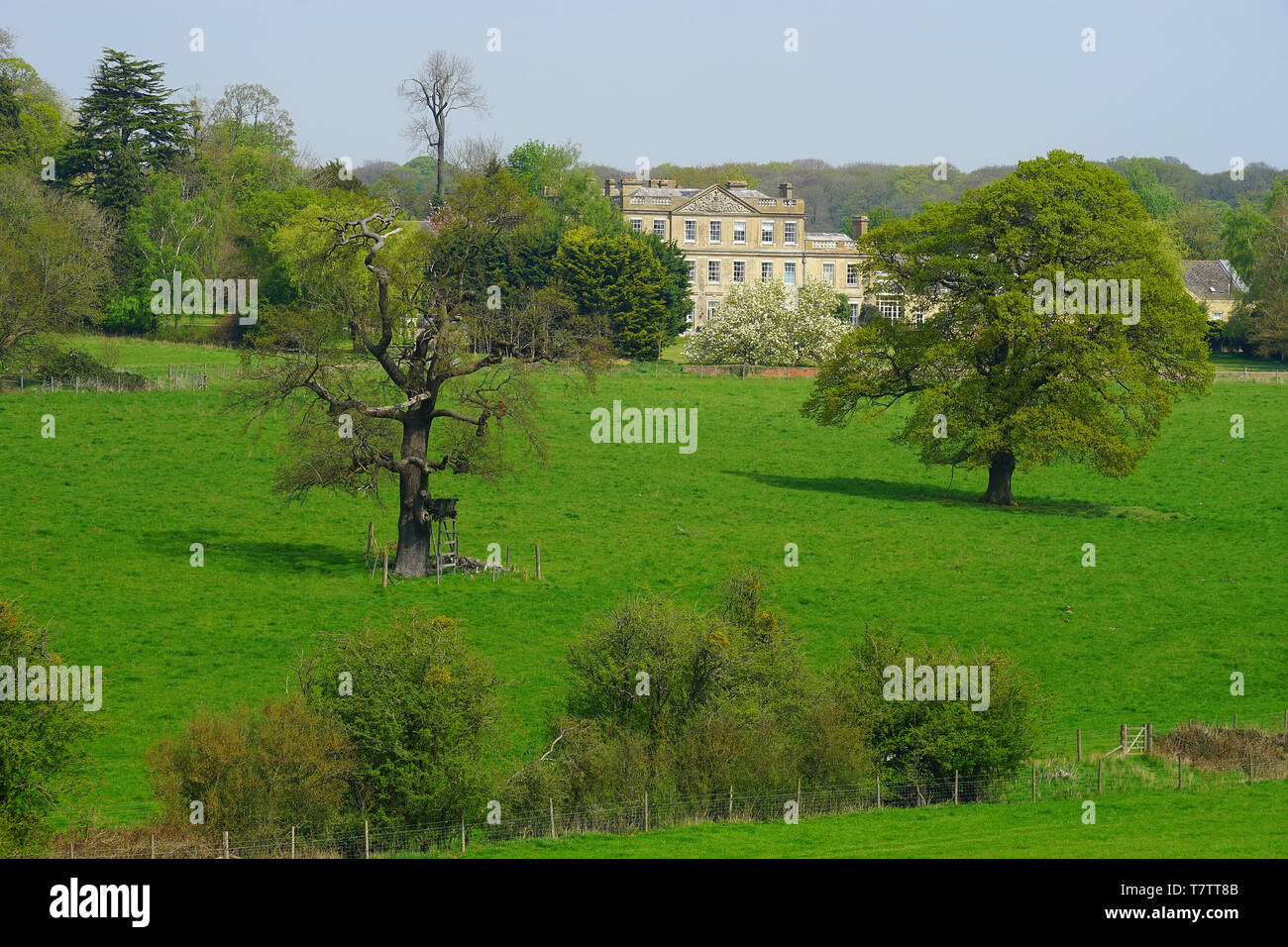 Stagenhoe park hi-res stock photography and images - Alamy