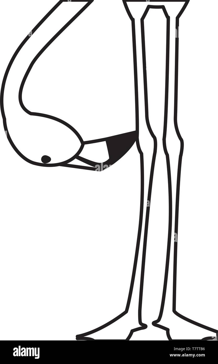 exotic flemish bird with head down vector illustration design Stock ...