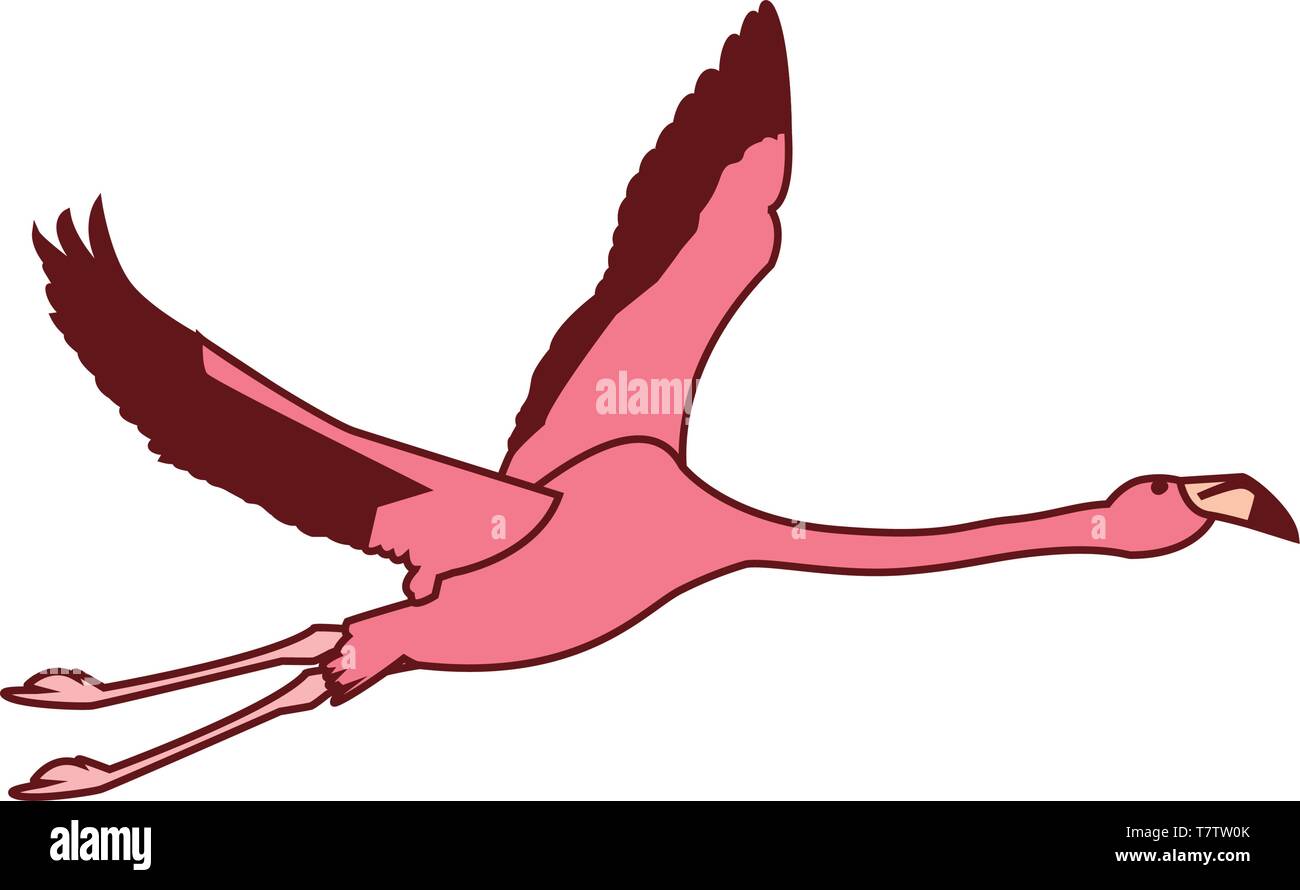 Cartoon Flamingo Flying