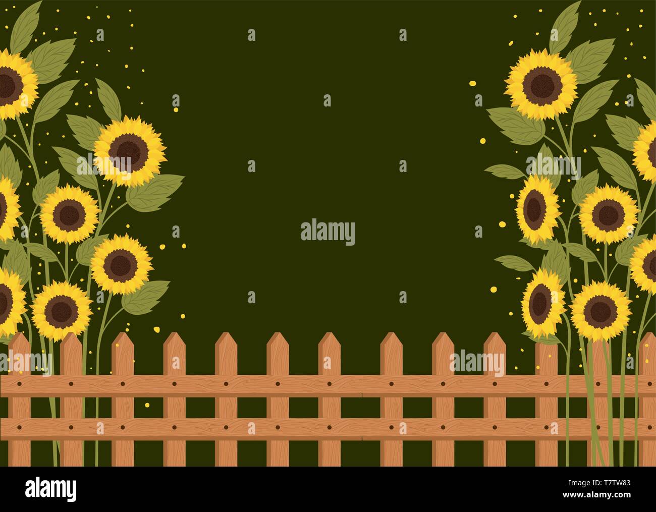 Sunflower field view Stock Vector Images - Alamy
