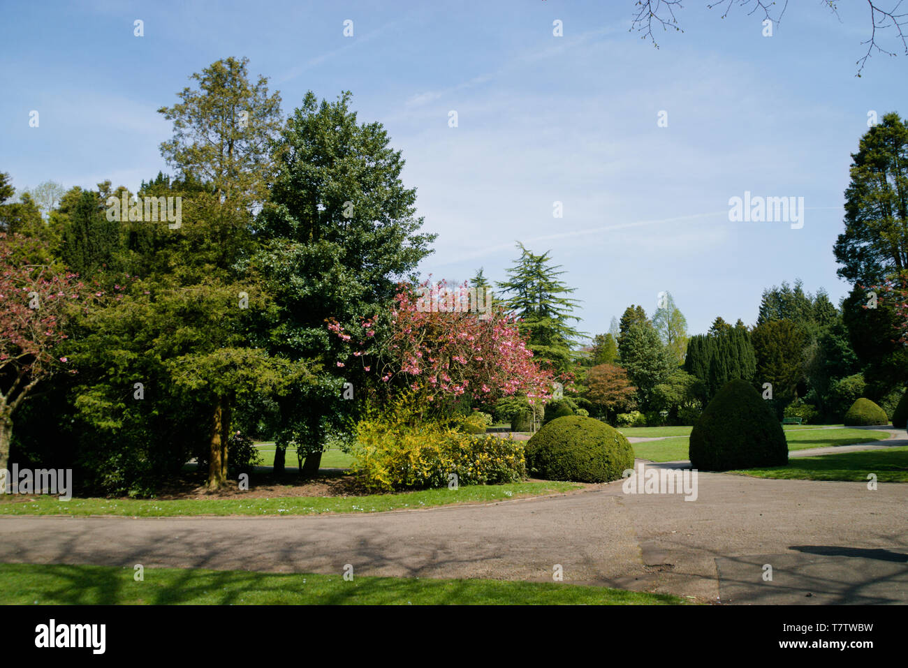 Beautiful view stream in park hi-res stock photography and images - Alamy