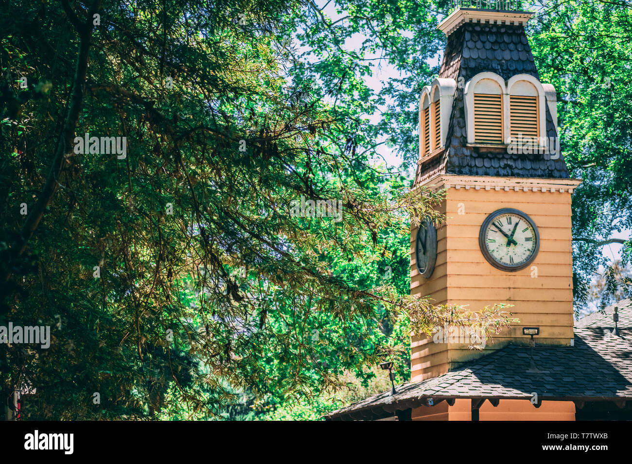 Clock Tower in the Park Stock Photo - Alamy