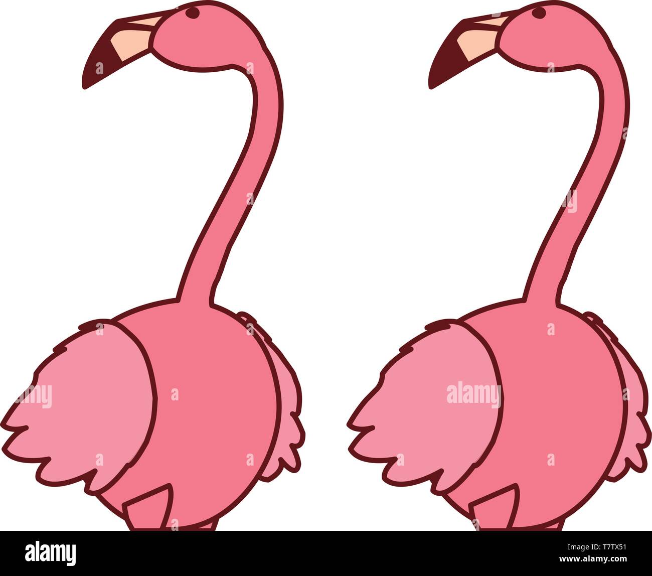 exotic pink flemish couple birds with heads up vector illustration ...