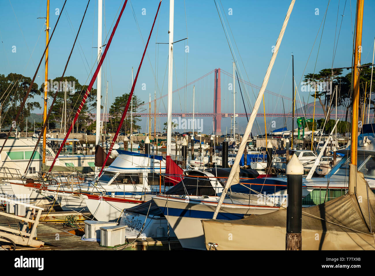 Sailboats and Golden Gate Bridge, Marina Green, San Francisco, California USA Stock Photo - Alamy