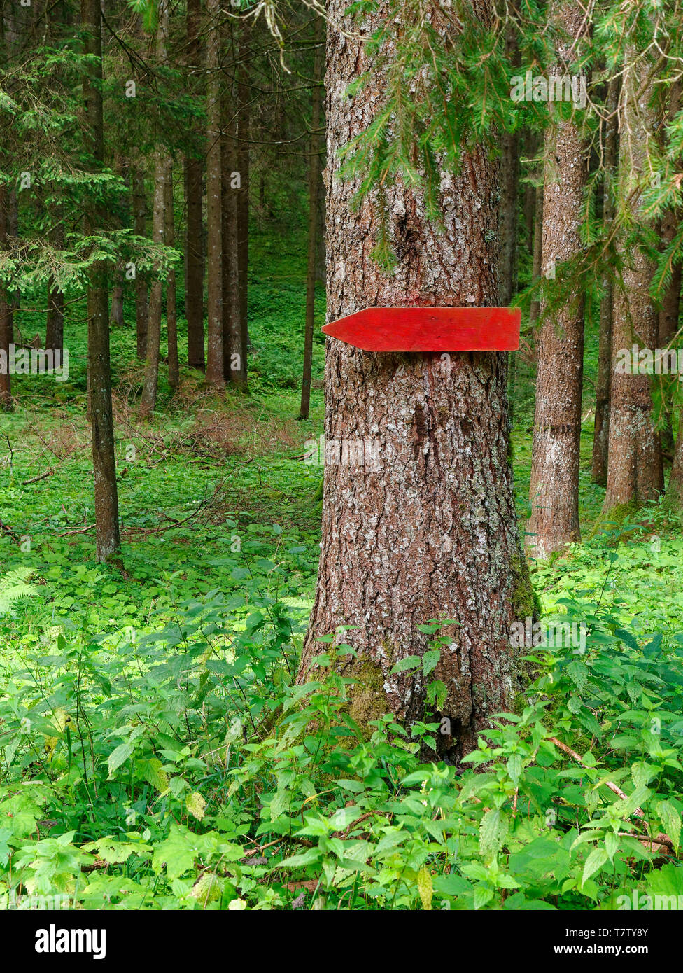 Red arrow park hi-res stock photography and images - Alamy