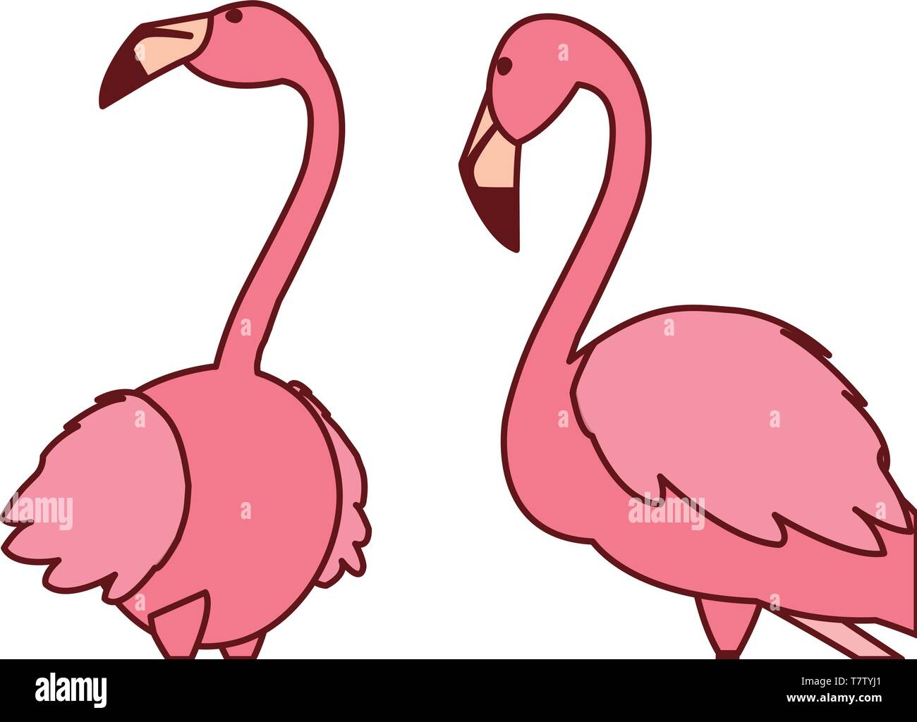 exotic pink flemish couple birds with heads up vector illustration ...