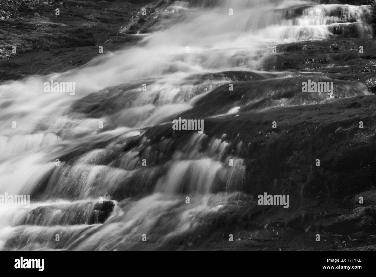 Woodland waterfall in woods Black and White Stock Photos & Images - Alamy