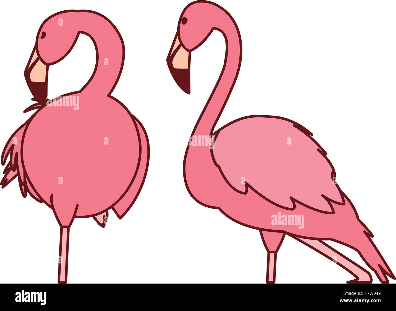 exotic pink flemish couple birds with heads up vector illustration ...