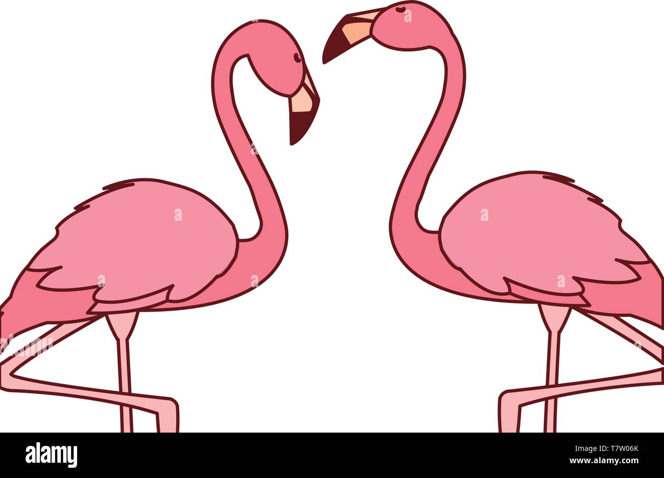 exotic pink flemish couple birds with heads up vector illustration ...