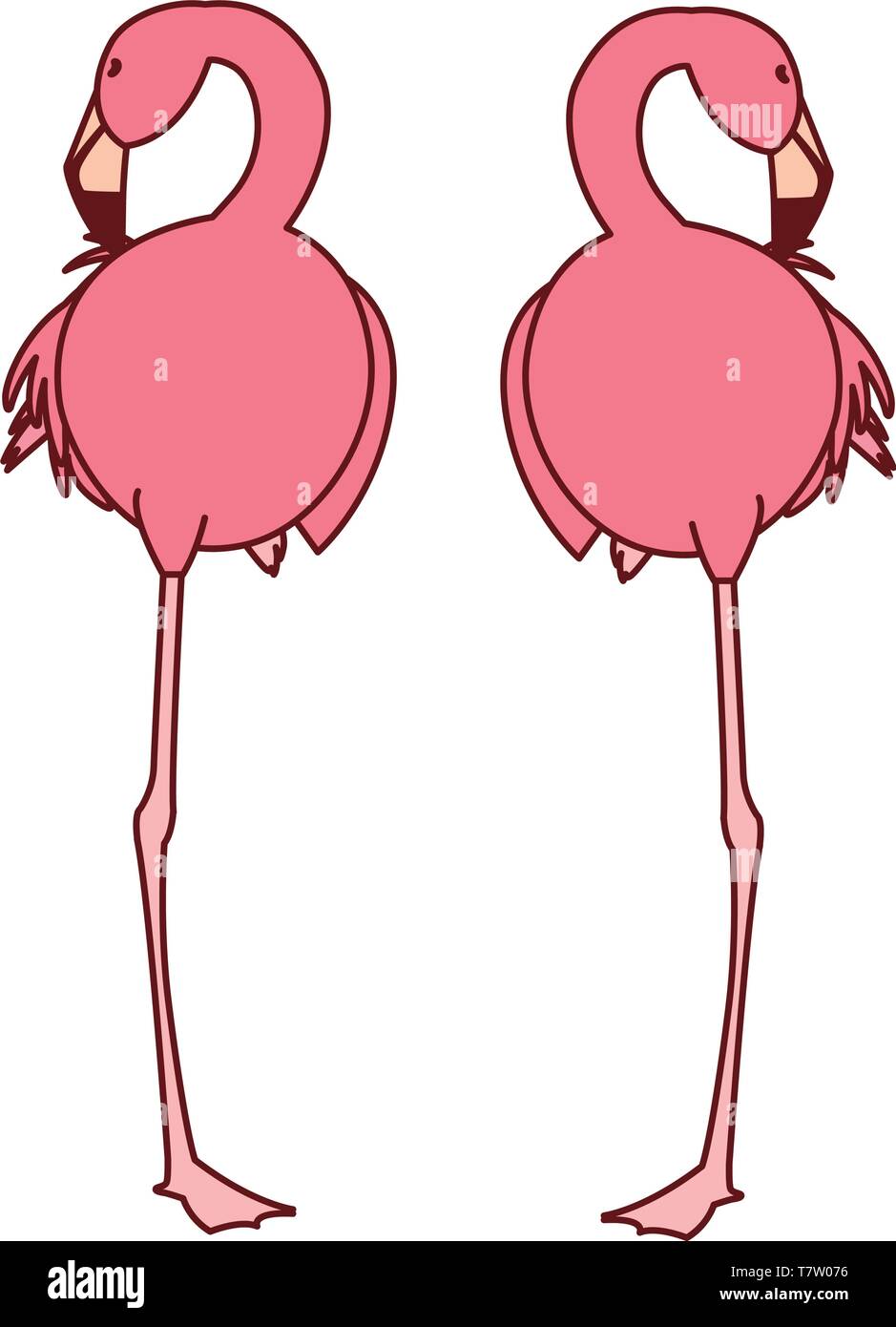 exotic pink flemish couple birds sleeping vector illustration design ...