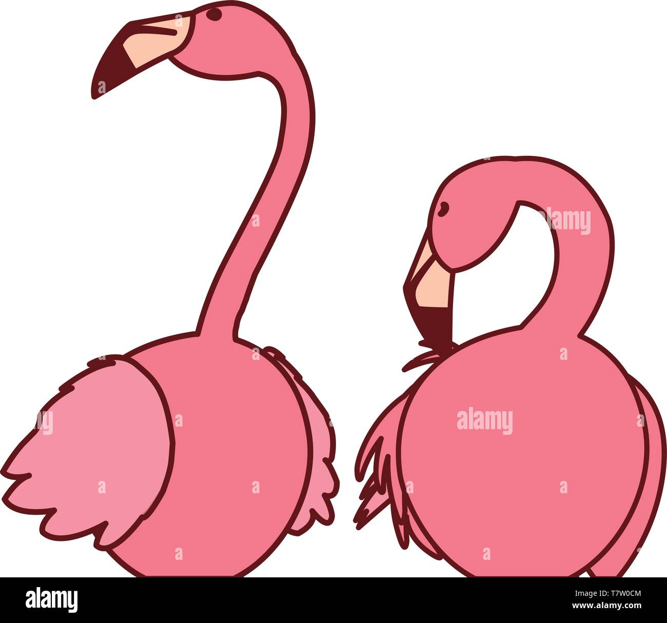 exotic pink flemish couple birds with heads up vector illustration ...