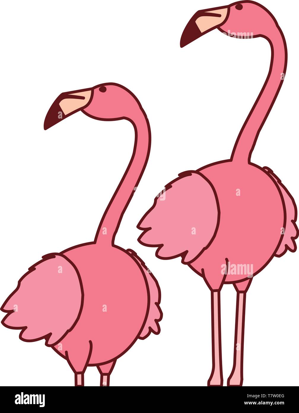 exotic pink flemish couple birds with heads up vector illustration ...