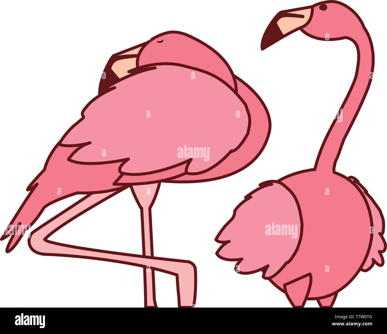 exotic pink flemish couple birds sleeping vector illustration design ...