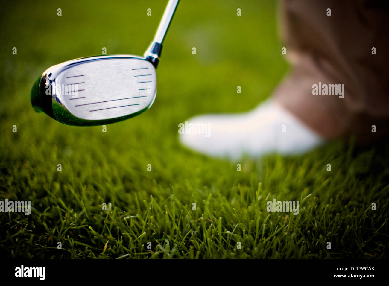 Head of a golf club above a golfing green Stock Photo - Alamy