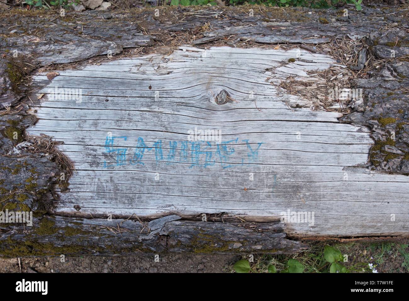 Graffiti on a log Stock Photo - Alamy