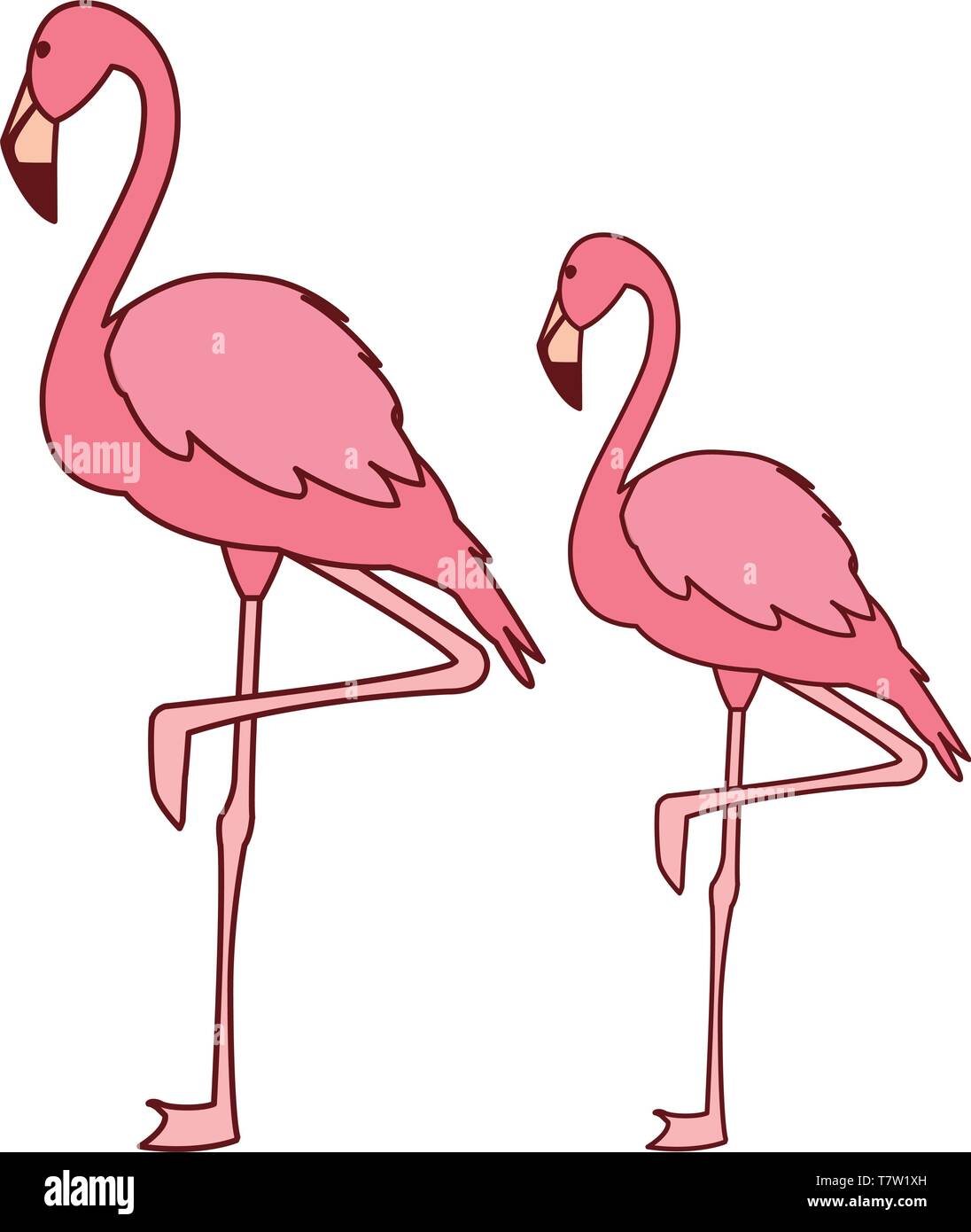 exotic pink flemish couple birds with heads up vector illustration ...