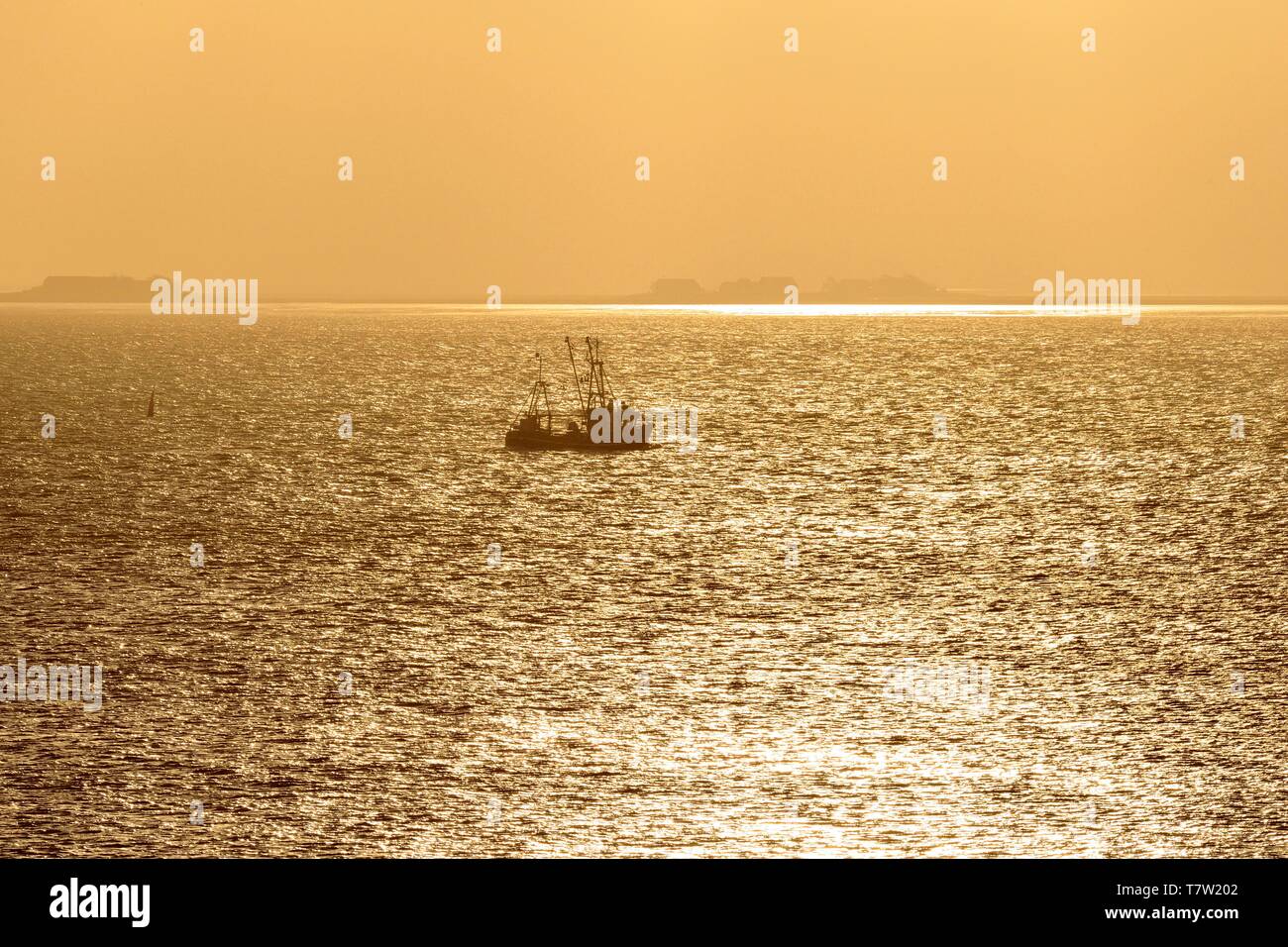 Insel fohr hi-res stock photography and images - Alamy