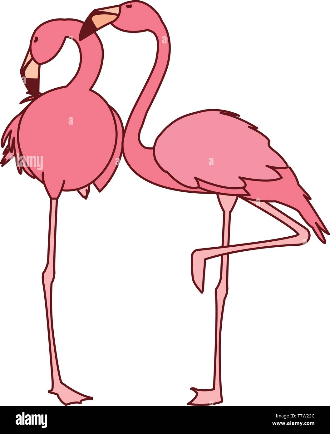 exotic pink flemish couple birds with heads up vector illustration ...