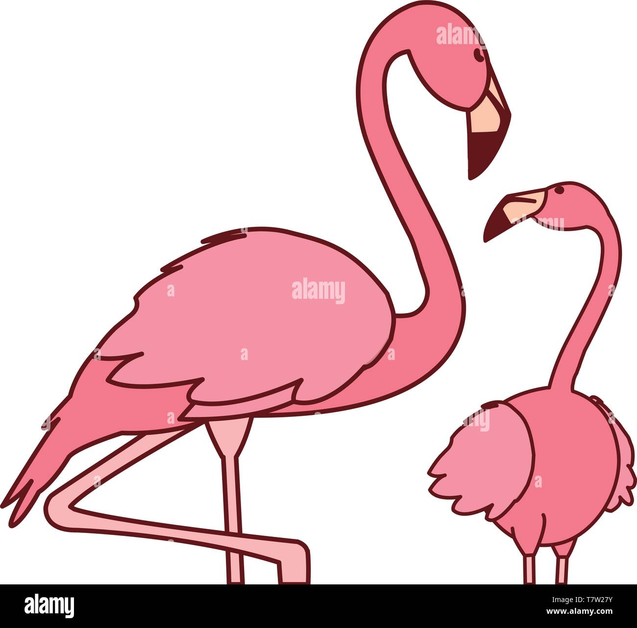 exotic pink flemish couple birds with heads up vector illustration ...