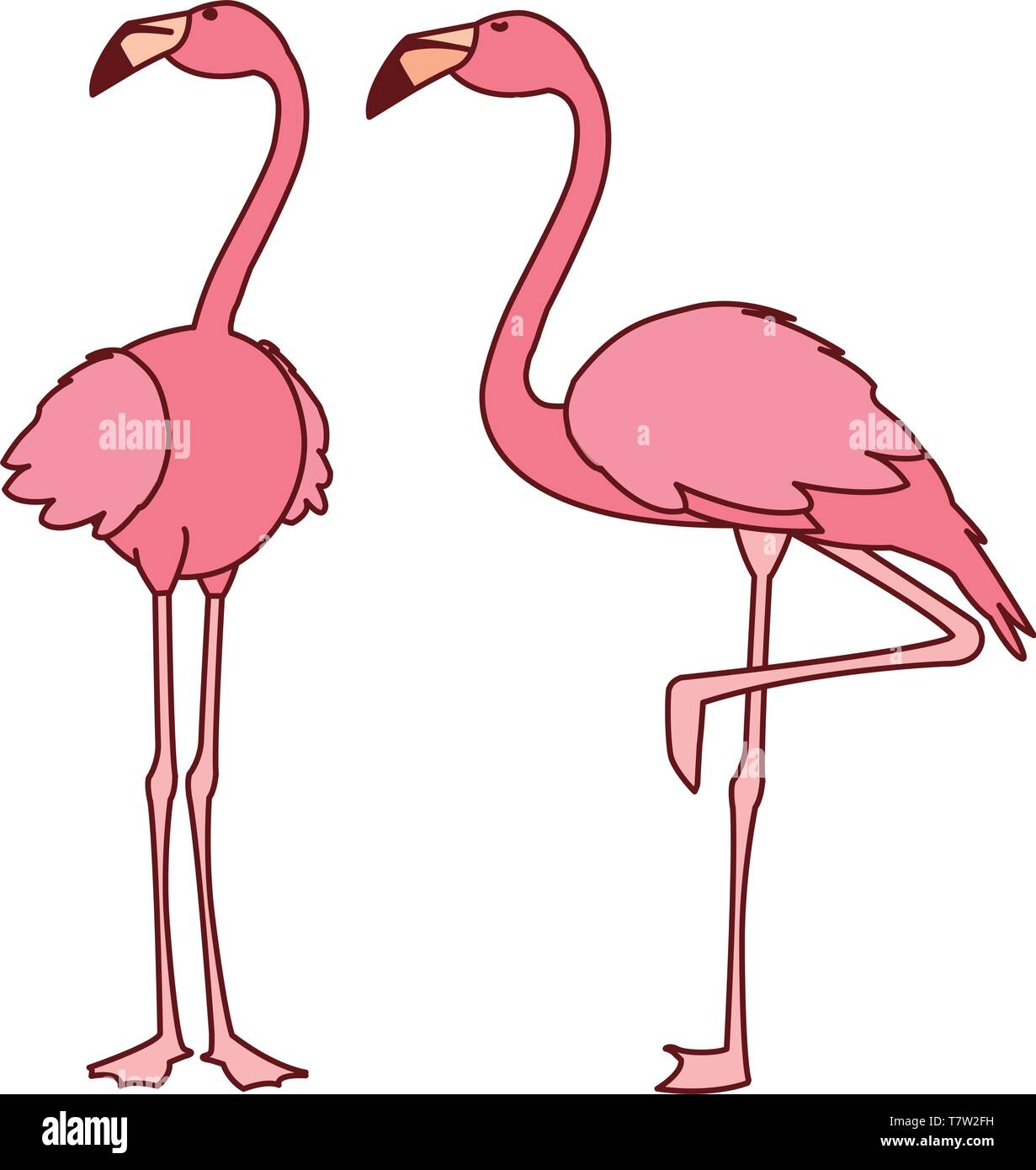exotic pink flemish couple birds with heads up vector illustration ...