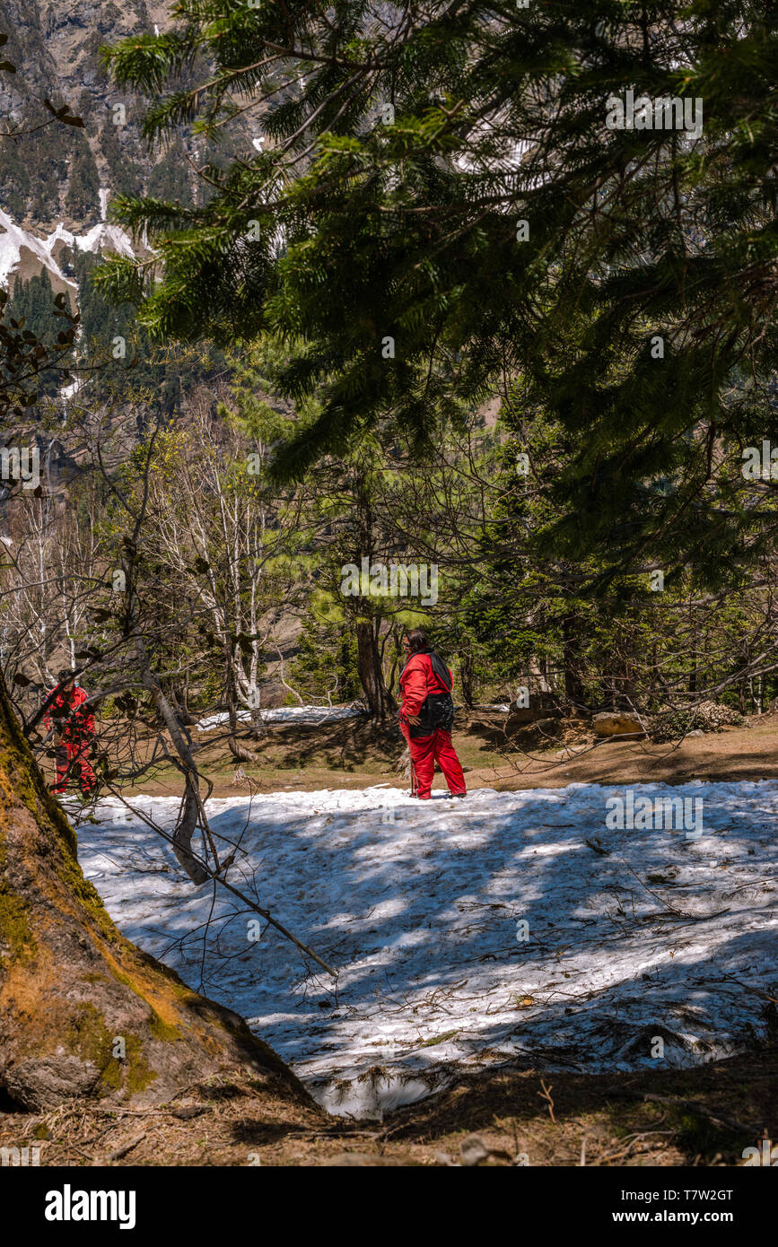 Manali, Himachal Pradesh, India - May 01, 2019 : Tourist enjoying in ...