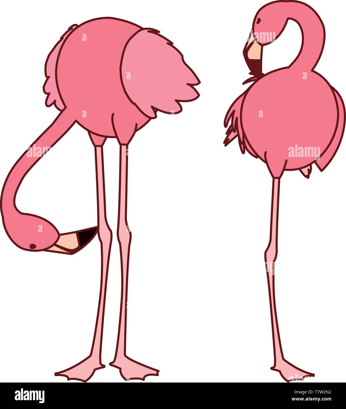 exotic pink flemish couple birds with different poses vector ...