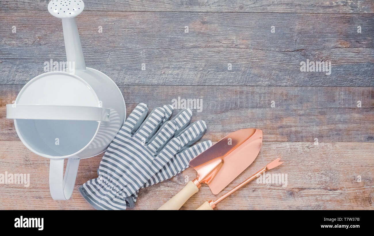 Flat lay. Small garden tools are ready for Spring planting season ...