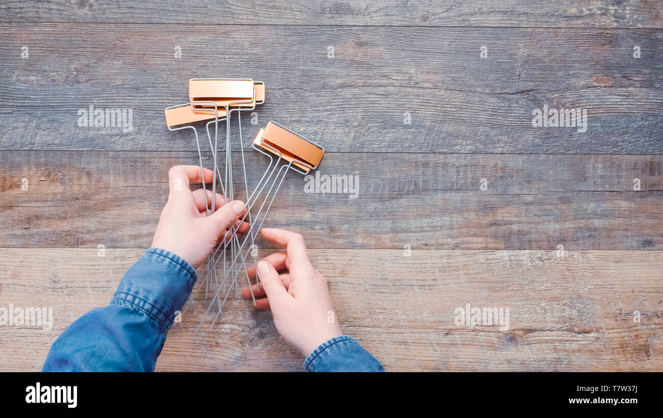 Flat lay. Small garden tools are ready for Spring planting season ...