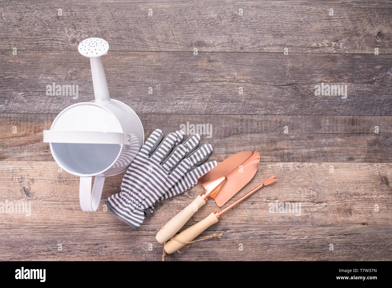 Flat lay. Small garden tools are ready for Spring planting season ...