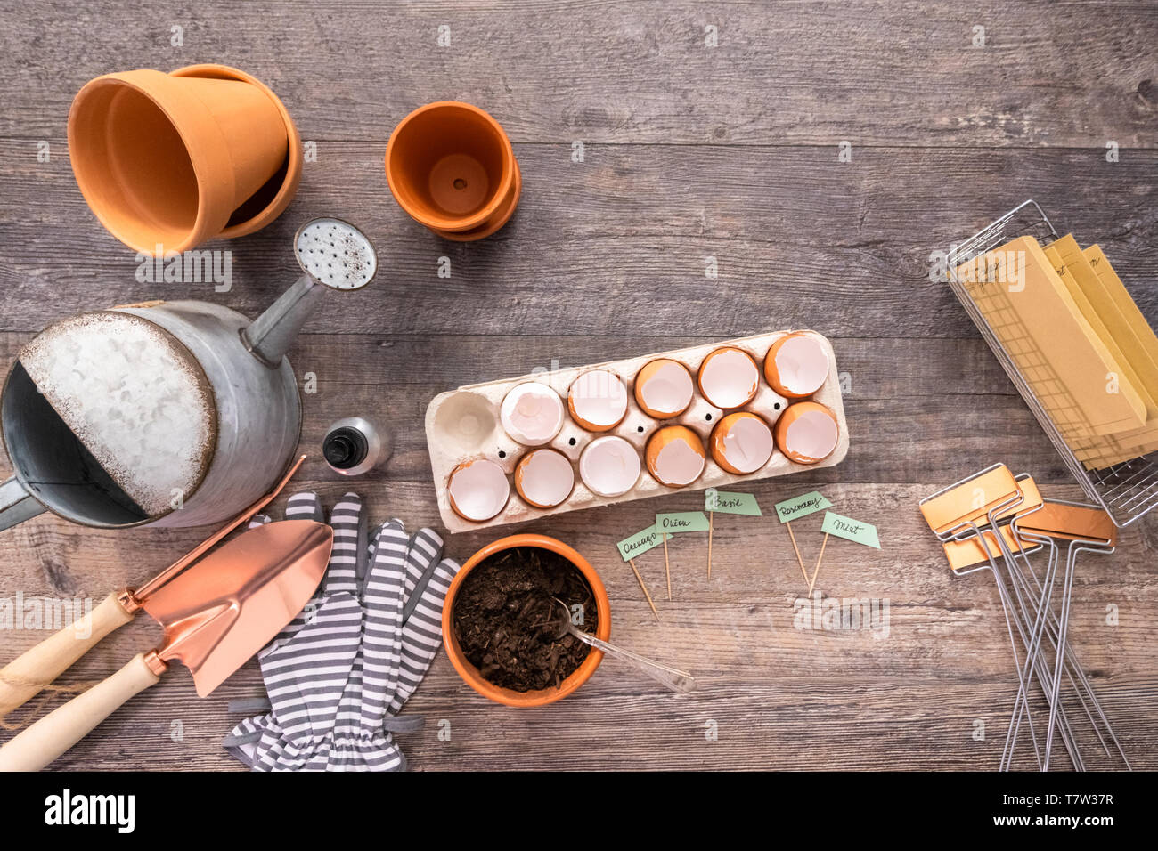 Flat lay. Plantings seeds in eggshells and labeling them with small ...