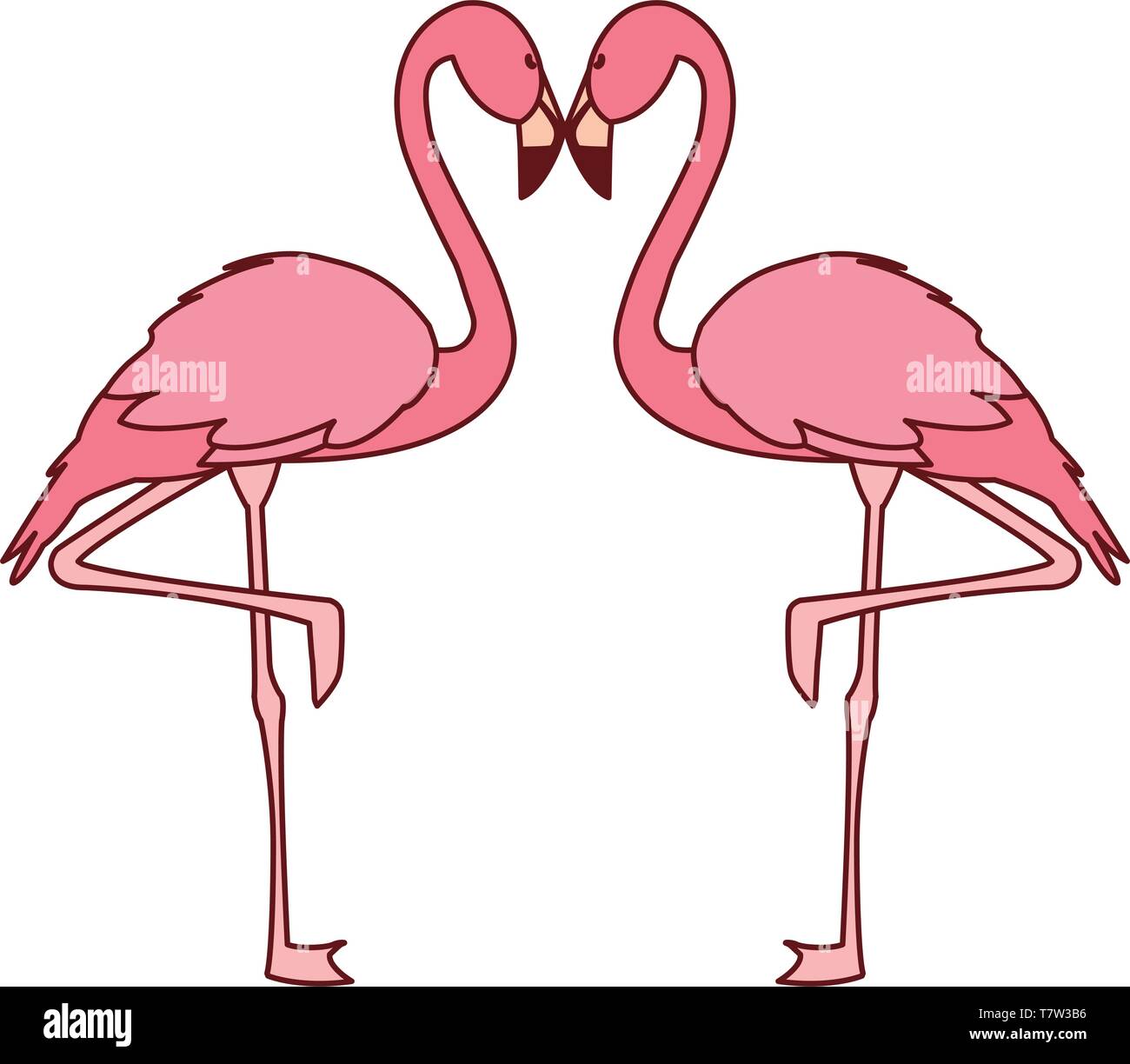 exotic pink flemish couple birds with romantic pose vector illustration ...