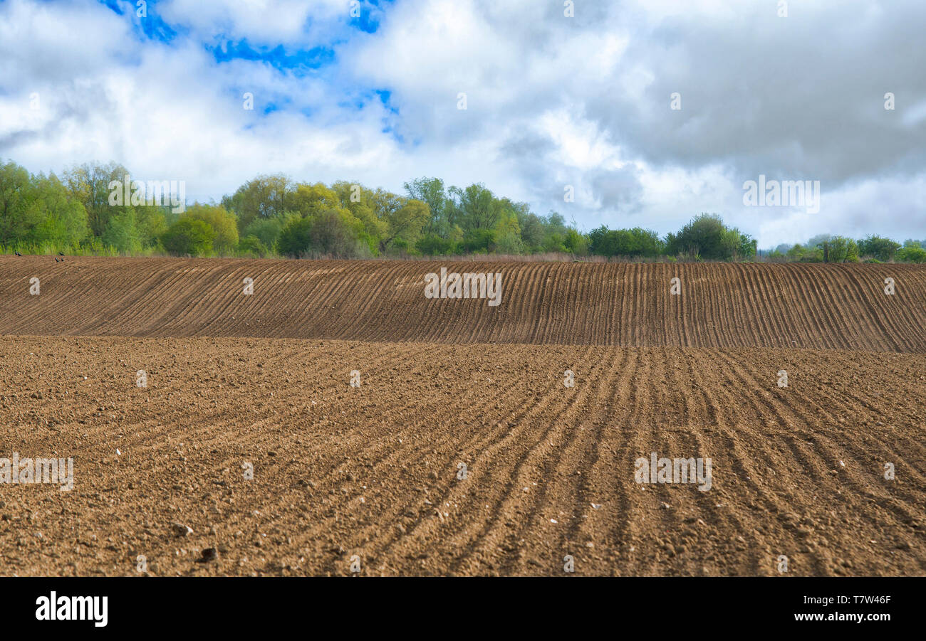 Cultivated grassland hi-res stock photography and images - Alamy