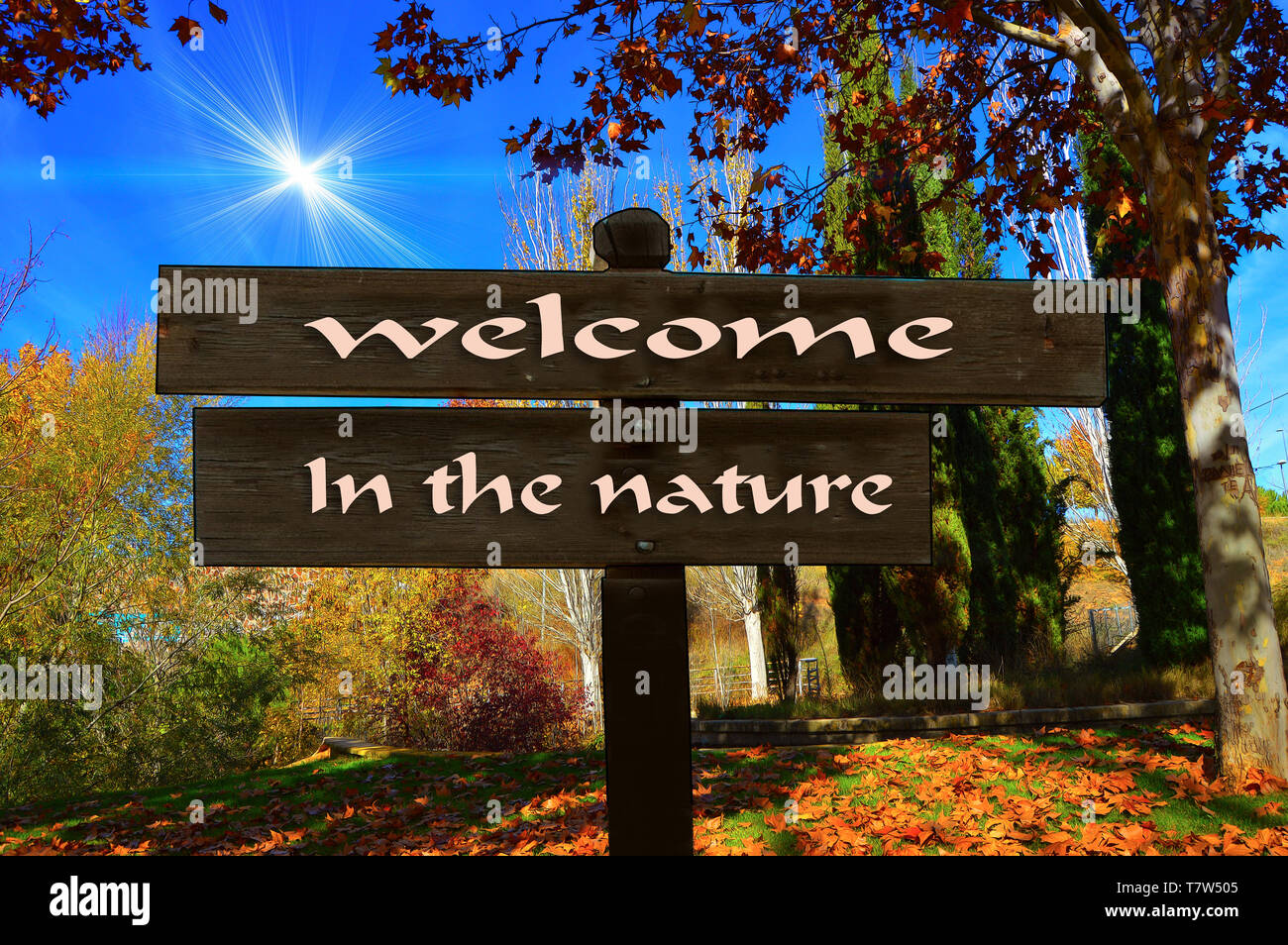 hiking signs in nature Stock Photo - Alamy