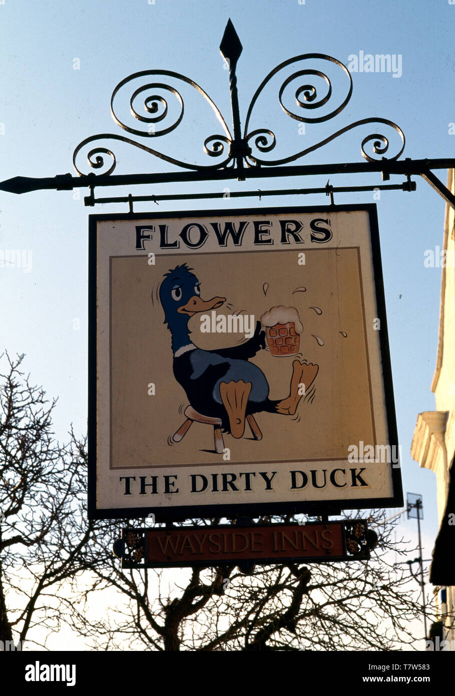 Dirty duck hi-res stock photography and images - Alamy