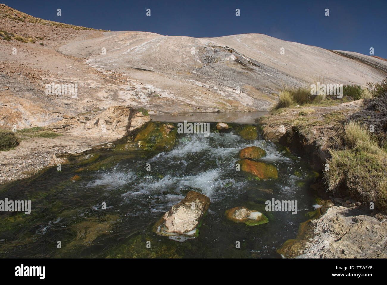 The boiling Rio Blanco thermal river near El Tatio Geyser, San Pedro de ...