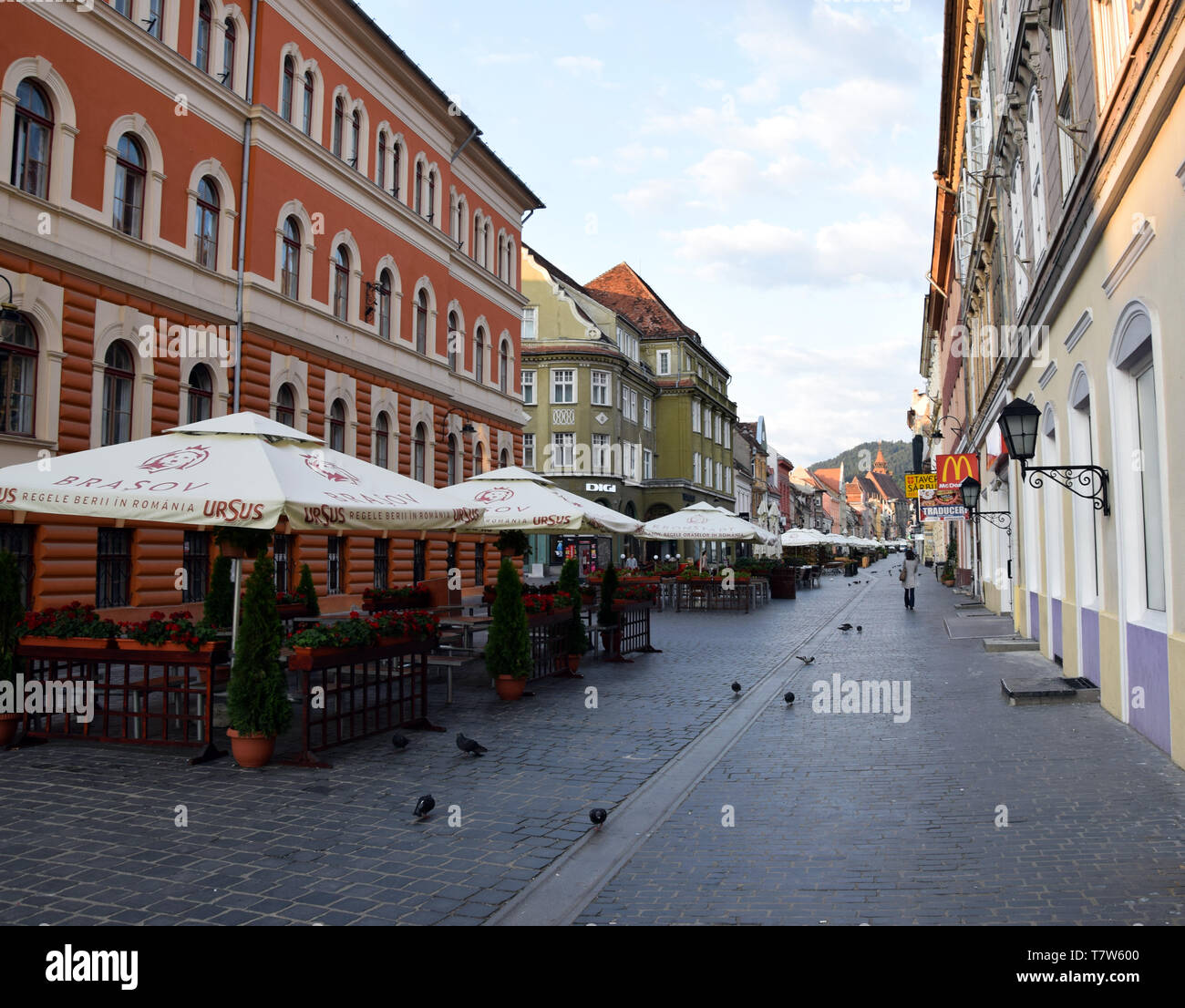 Brasov, Romania - August 2017: Strada Politehnicii street in Brasov ...