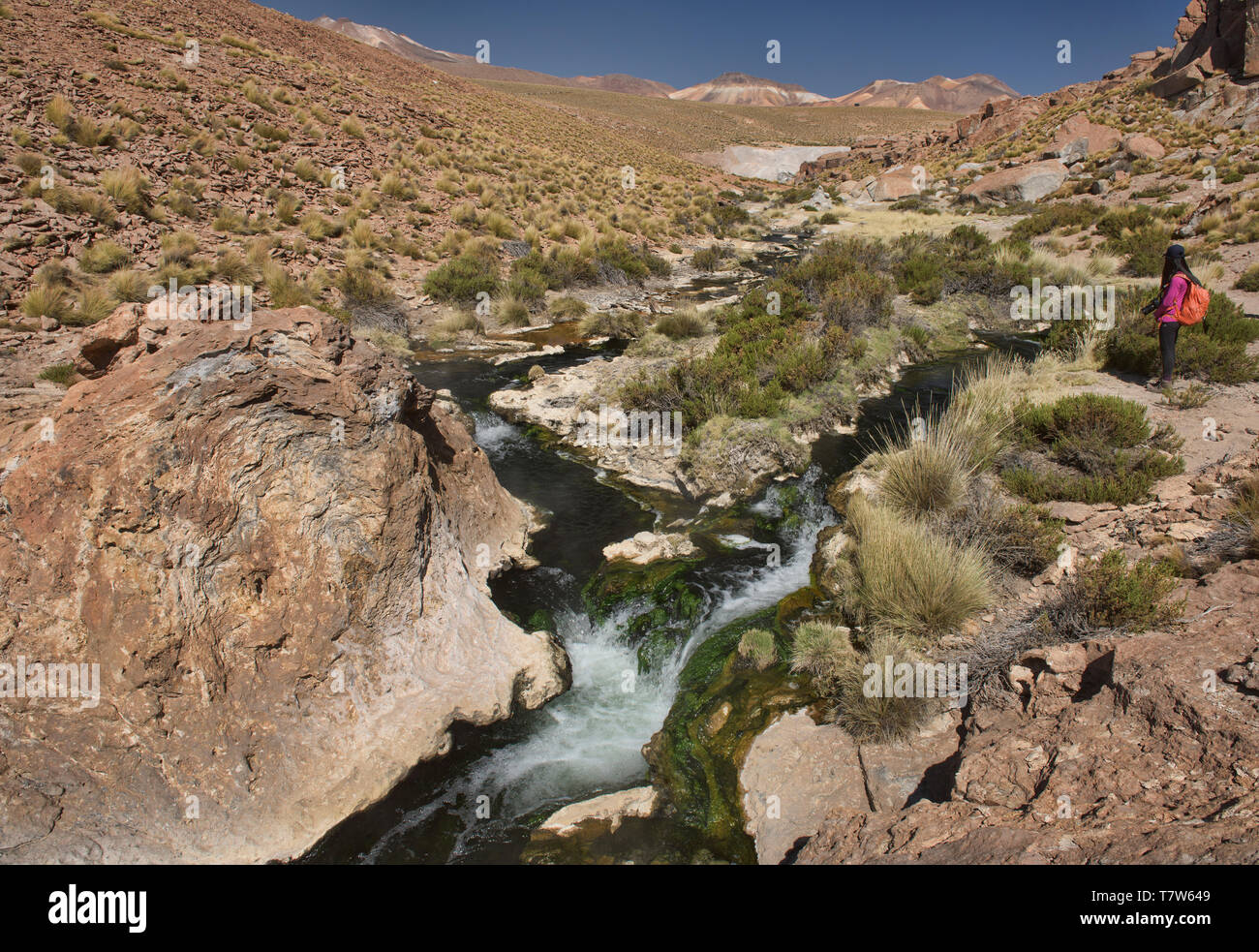 The boiling Rio Blanco thermal river near El Tatio Geyser, San Pedro de ...