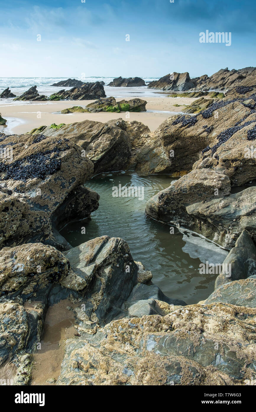 Rock pools amongst rocks exposed by the low tide on Fistral Beach in ...