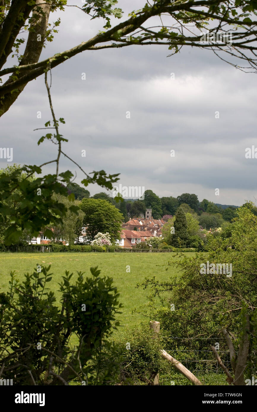 Hambledon village hi-res stock photography and images - Alamy