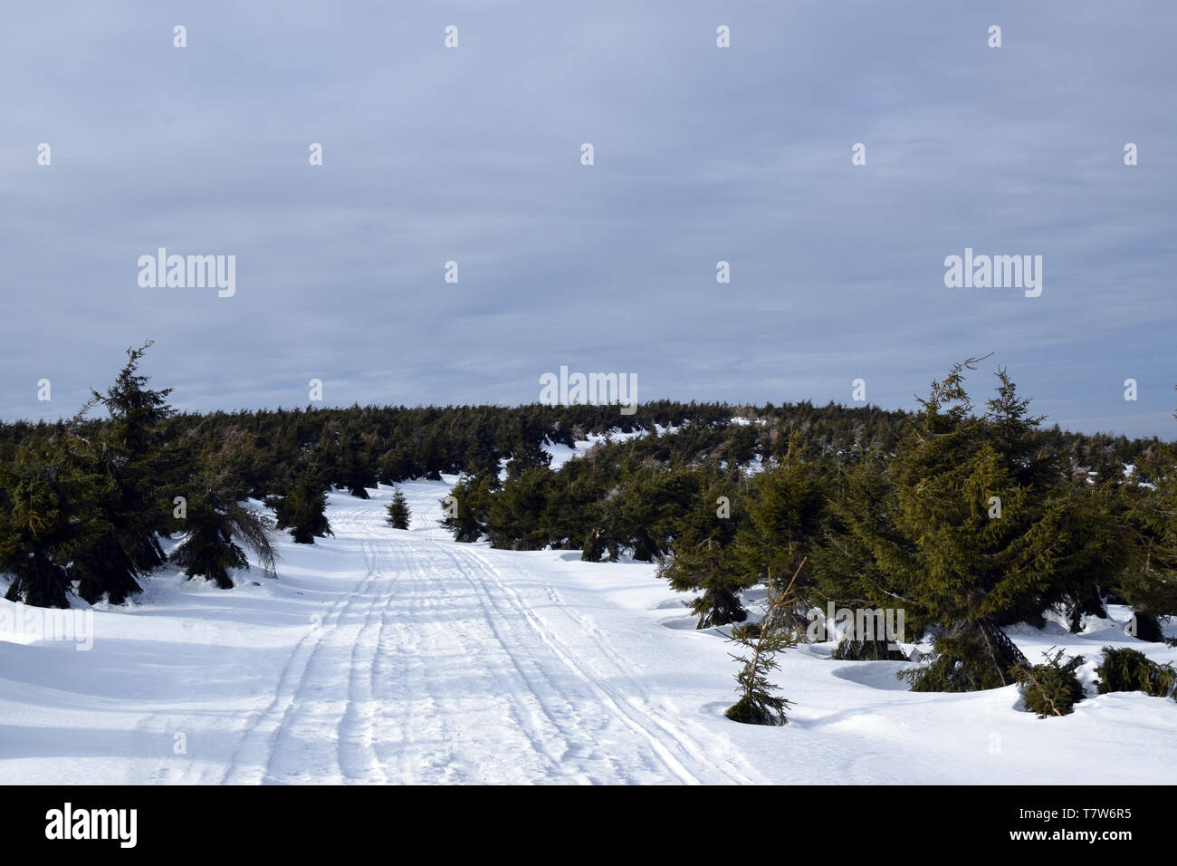 Snow mountain path. Mountain winter track. Winter landscape Stock Photo ...