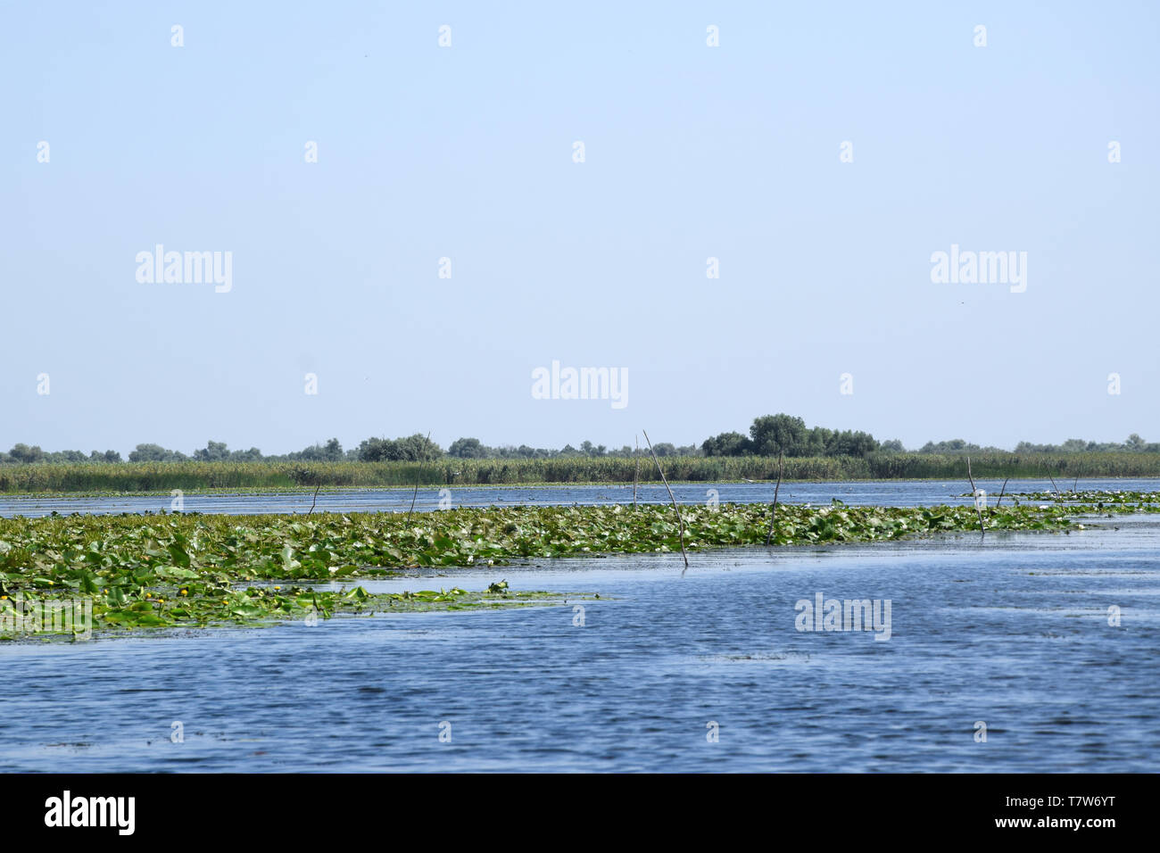 Fortuna Lake (Lacul Furtuna). Danube biosphere reserve - Danube delta ...