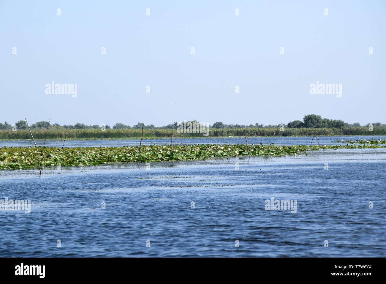 Fortuna Lake (Lacul Furtuna). Danube biosphere reserve - Danube delta ...
