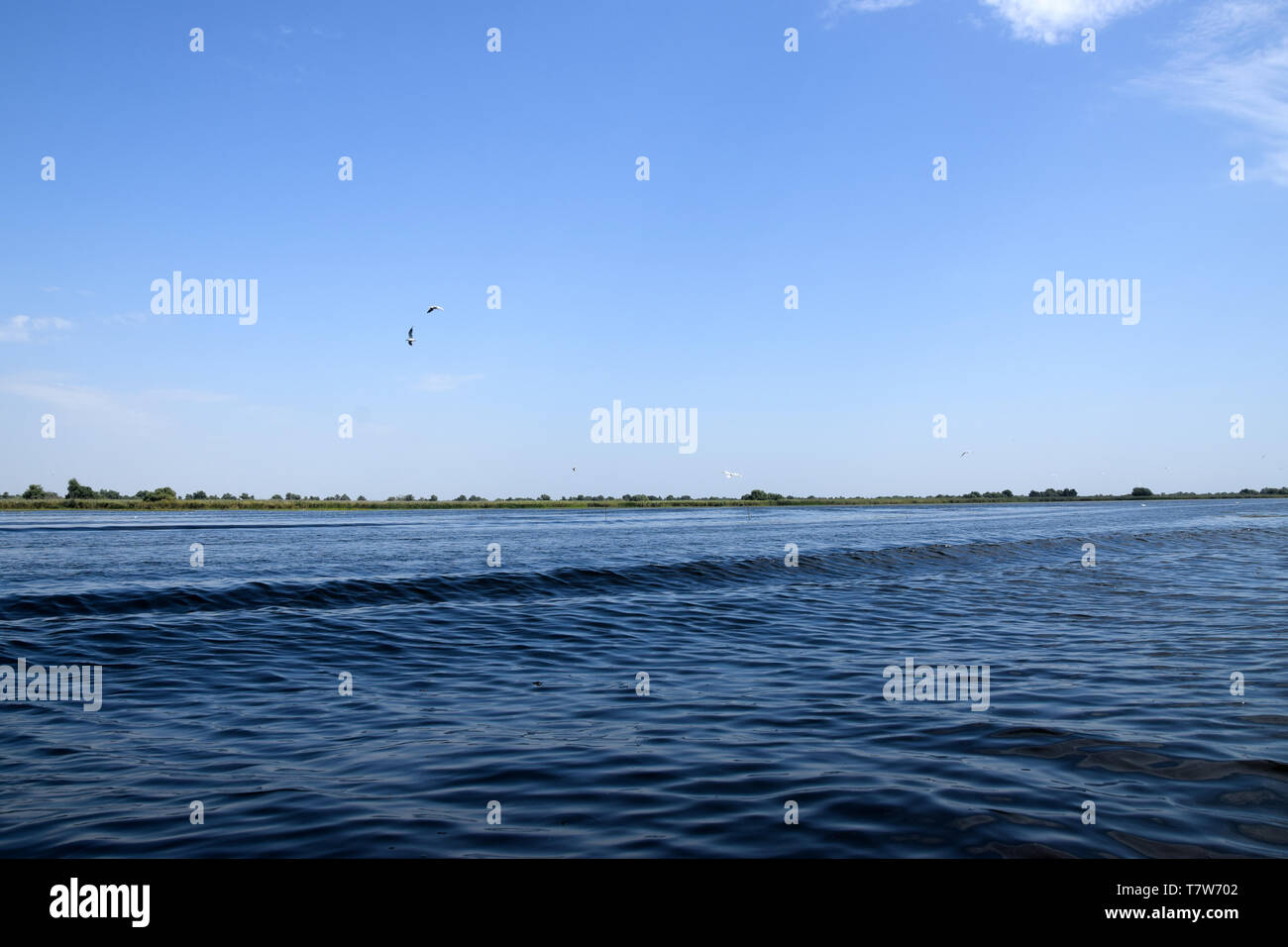 Fortuna Lake (Lacul Furtuna). Danube biosphere reserve - Danube delta ...