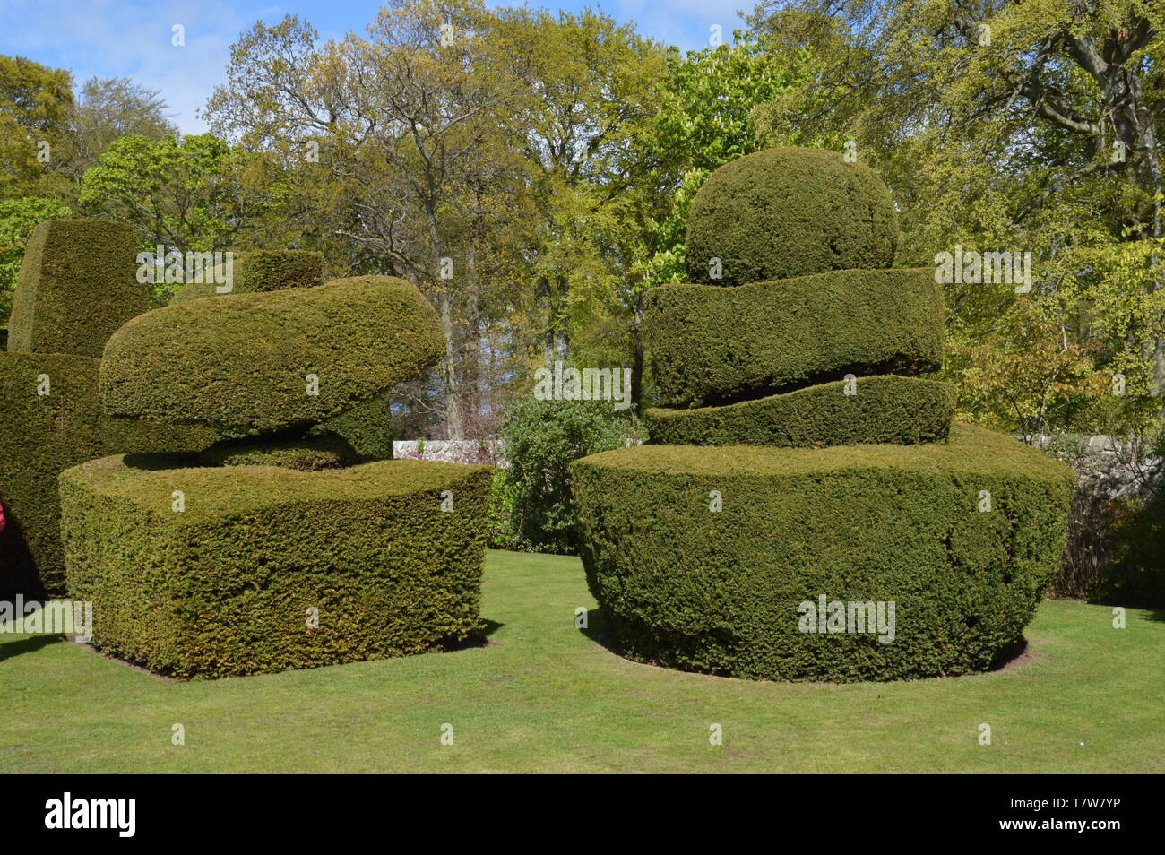 Ancient castle yew hedges hi-res stock photography and images - Alamy