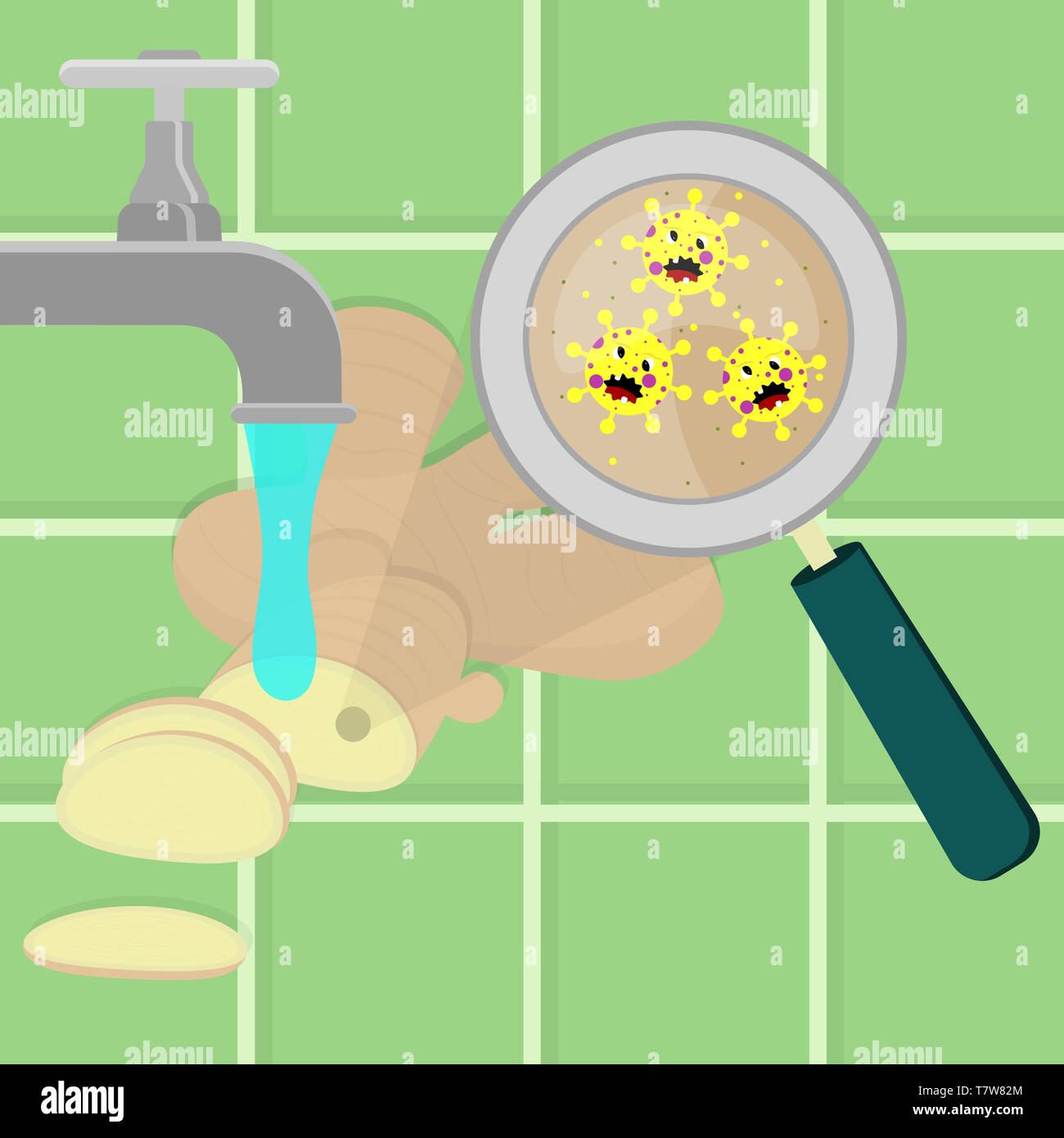 Ginger washing Stock Vector Images - Alamy